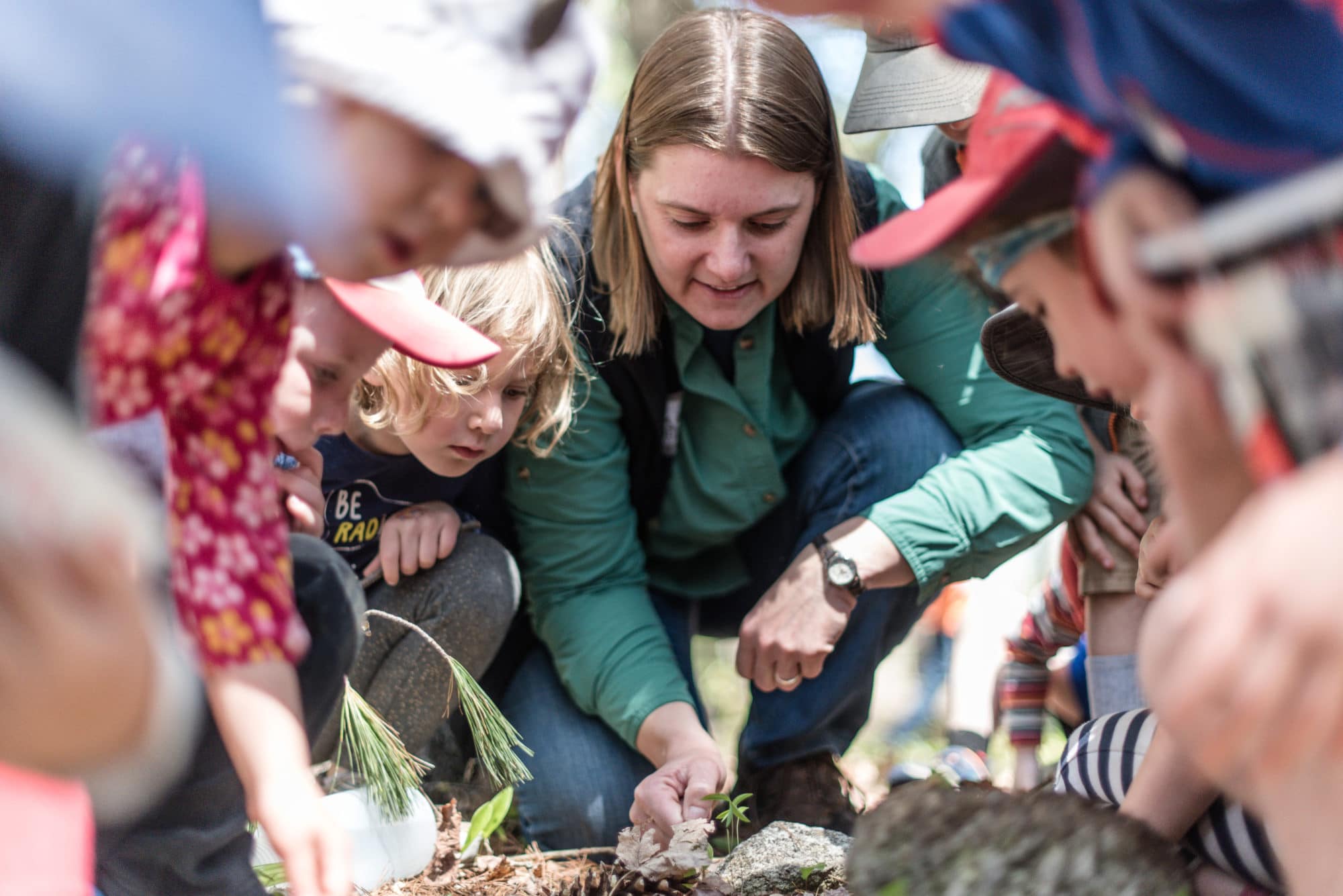 About the Harris Center for Conservation Education