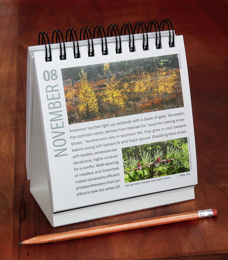 Announcing a New Nature Almanac & Perpetual Calendar