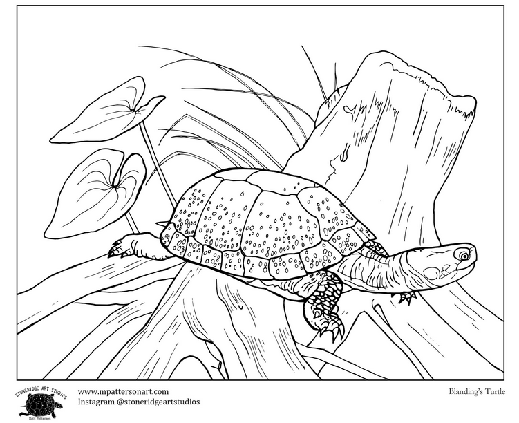 childrens coloring pages conservationist