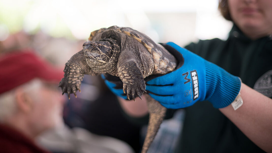 Events | Harris Center