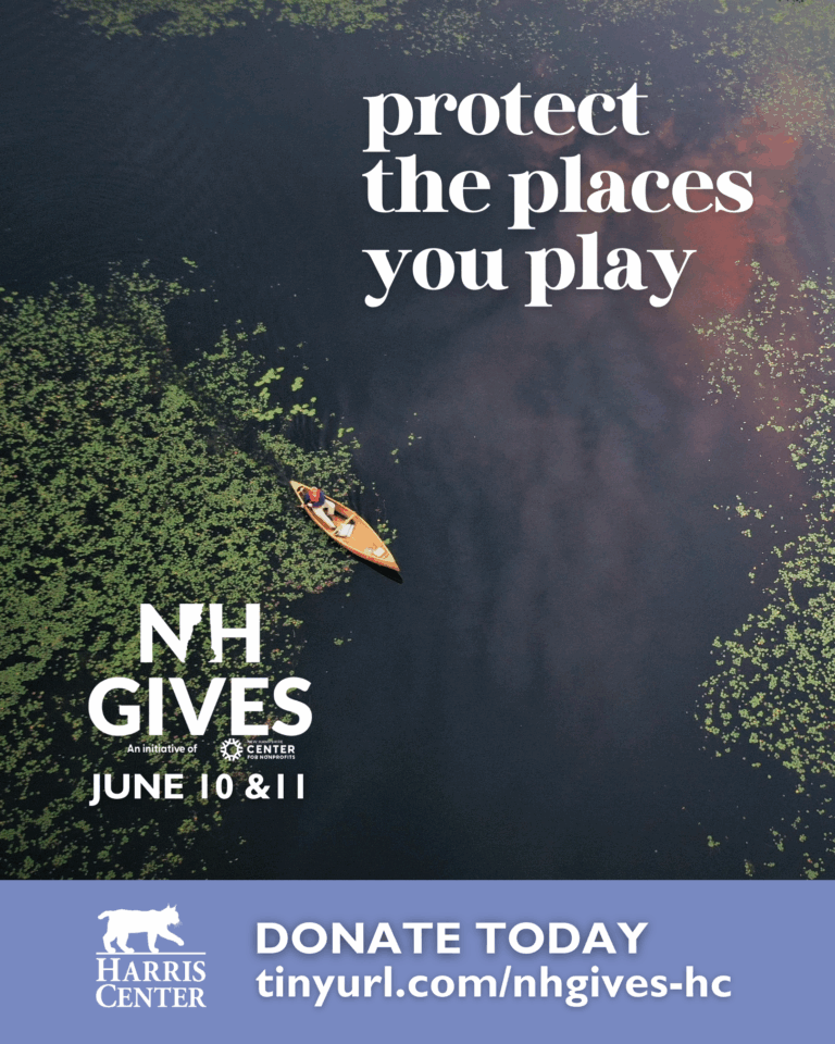 NH Gives 2025 | June 10 & 11