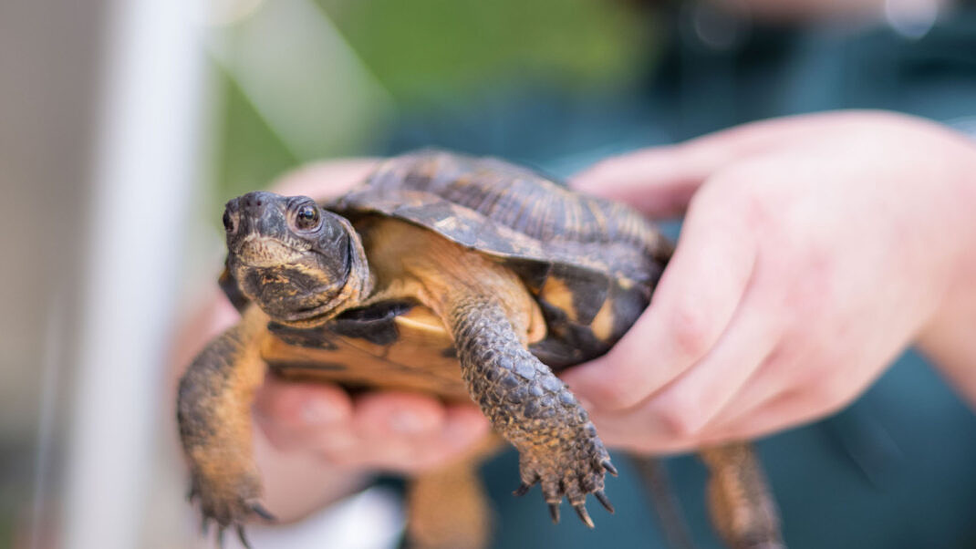 Events | Harris Center