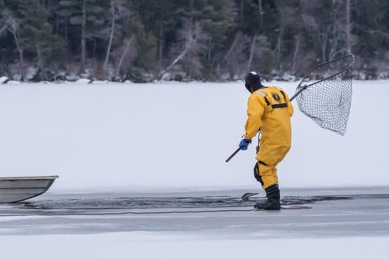 Loons on Thin Ice | Harris Center